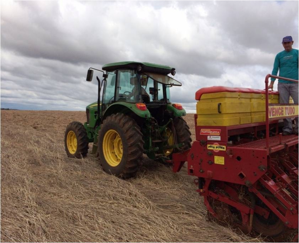 Dessecação para Implantação da Cultura do Milho